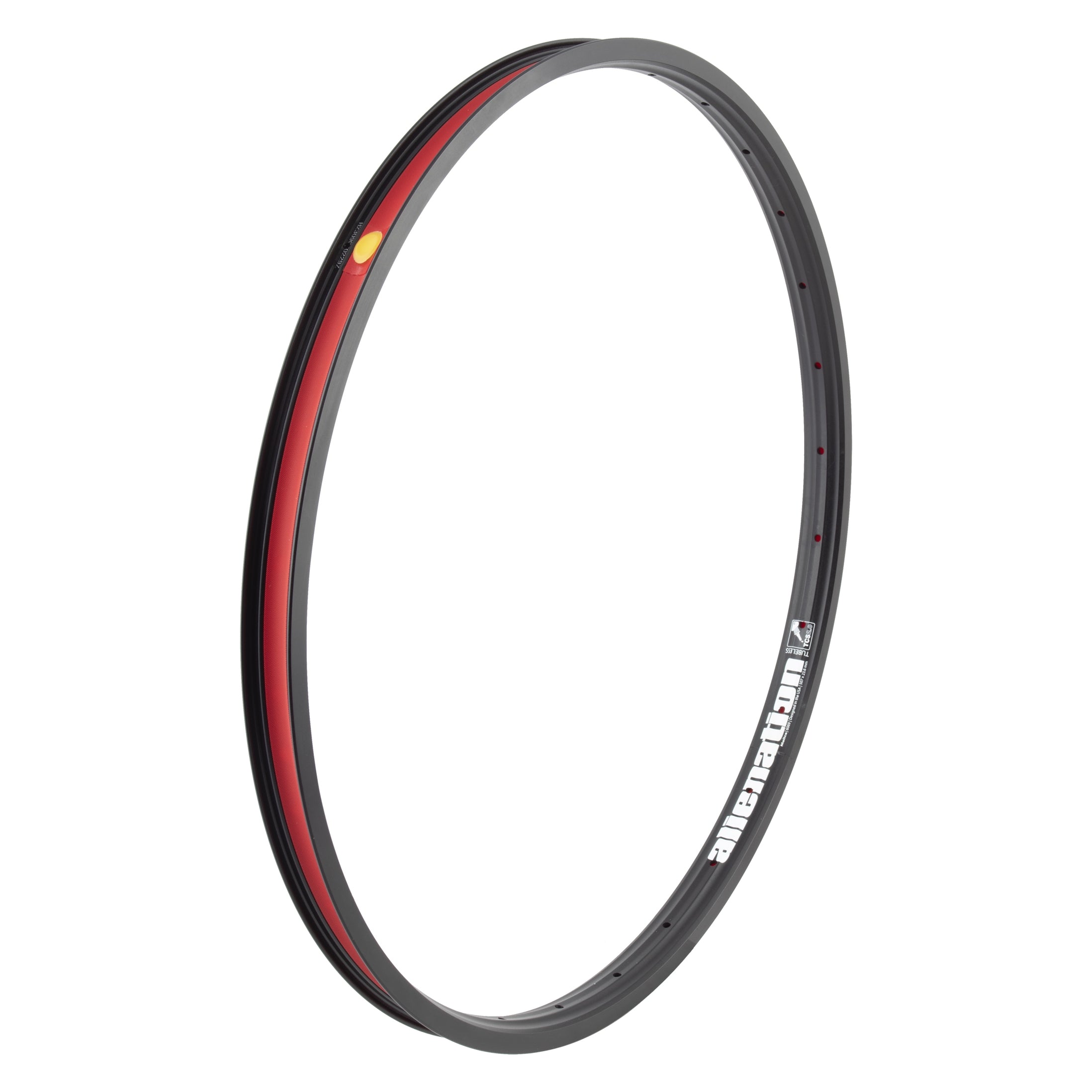 Rims: 24" - BMXGuru.com / C&W Cycle