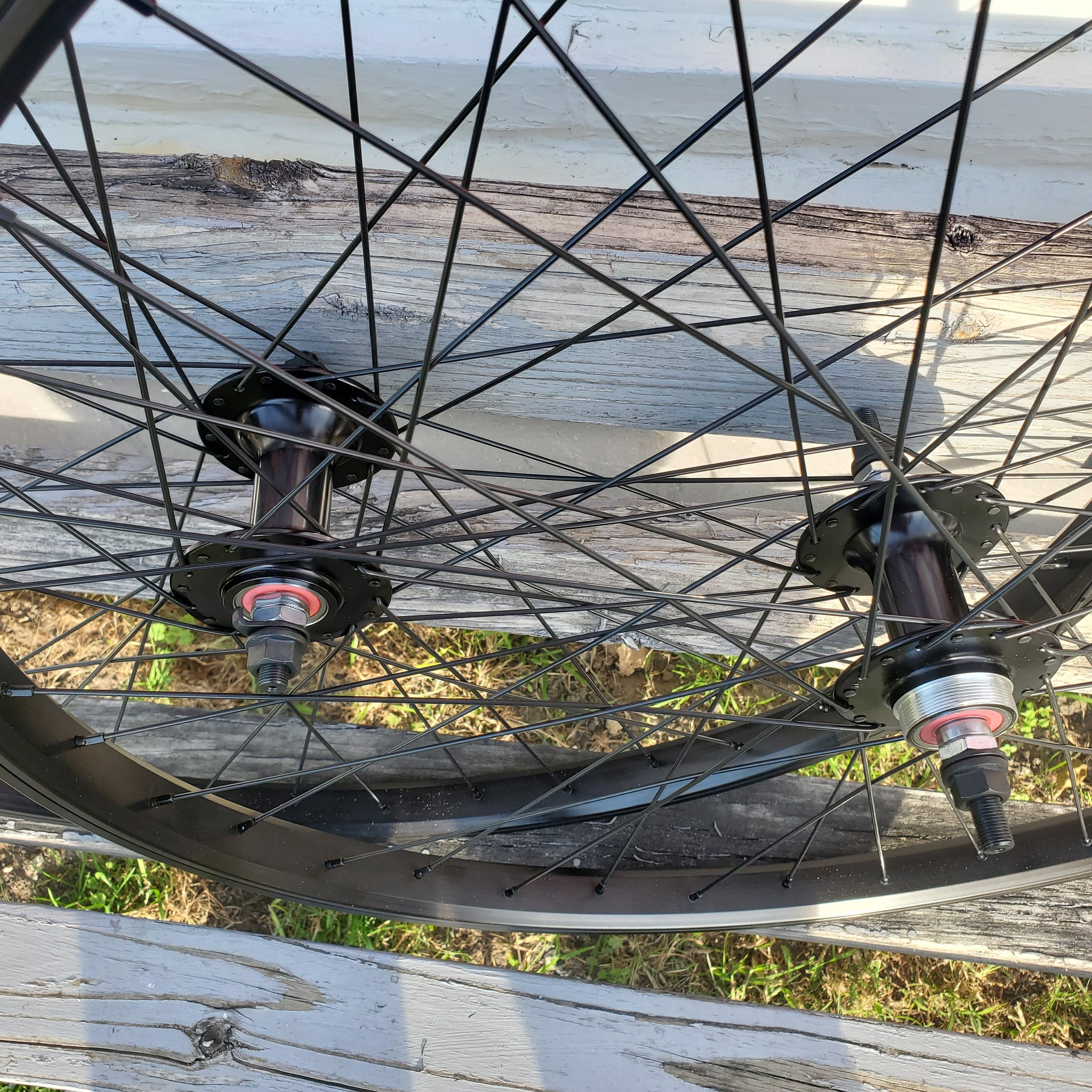 29" SE Racing LA, Miami, Dogtown Ripper Wheelset - Pair - 36H - Flip F ...